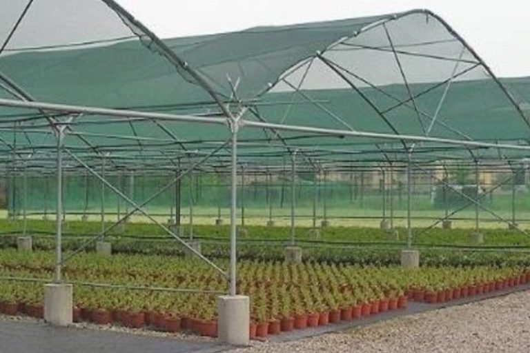 Shade Nets for Agriculture : Improving Crop Growth and Protection