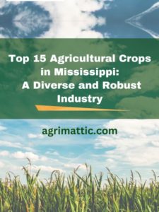 The Top 15 Agricultural Crops in Mississippi: A Diverse and Robust Industry