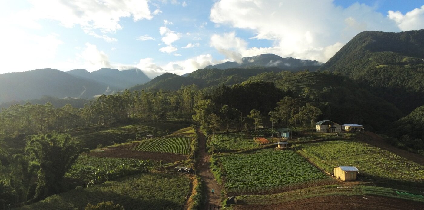 Multistrata Agroforestry: A Sustainable Revolution in Farming Practices