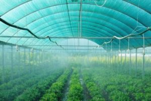 Agricultural Insect Netting: Choosing the Right Solution for Your ...