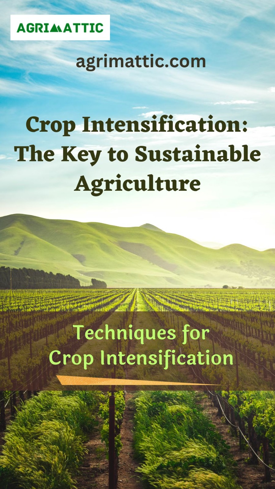 Crop Intensification - Agrimattic
