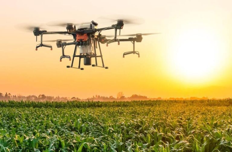 Crop Monitoring System: The Key to Increased Efficiency and ...